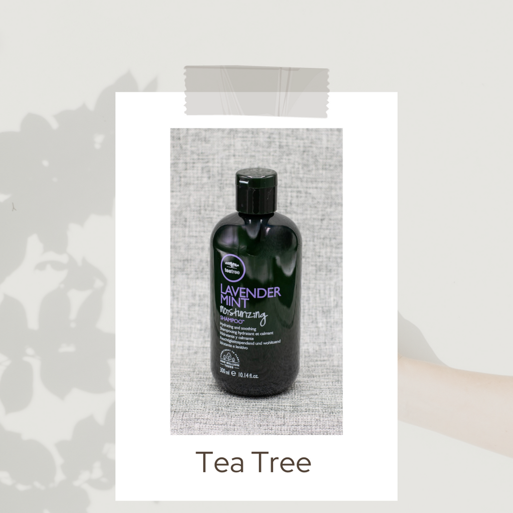 Tea Tree Collection Hair Care Products | 10-20% Off Retail – Katsura ...