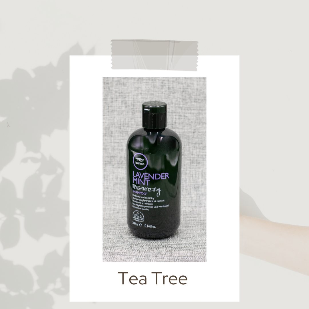 Tea Tree Collection Hair Care Products | 10-20% Off Retail – Katsura ...